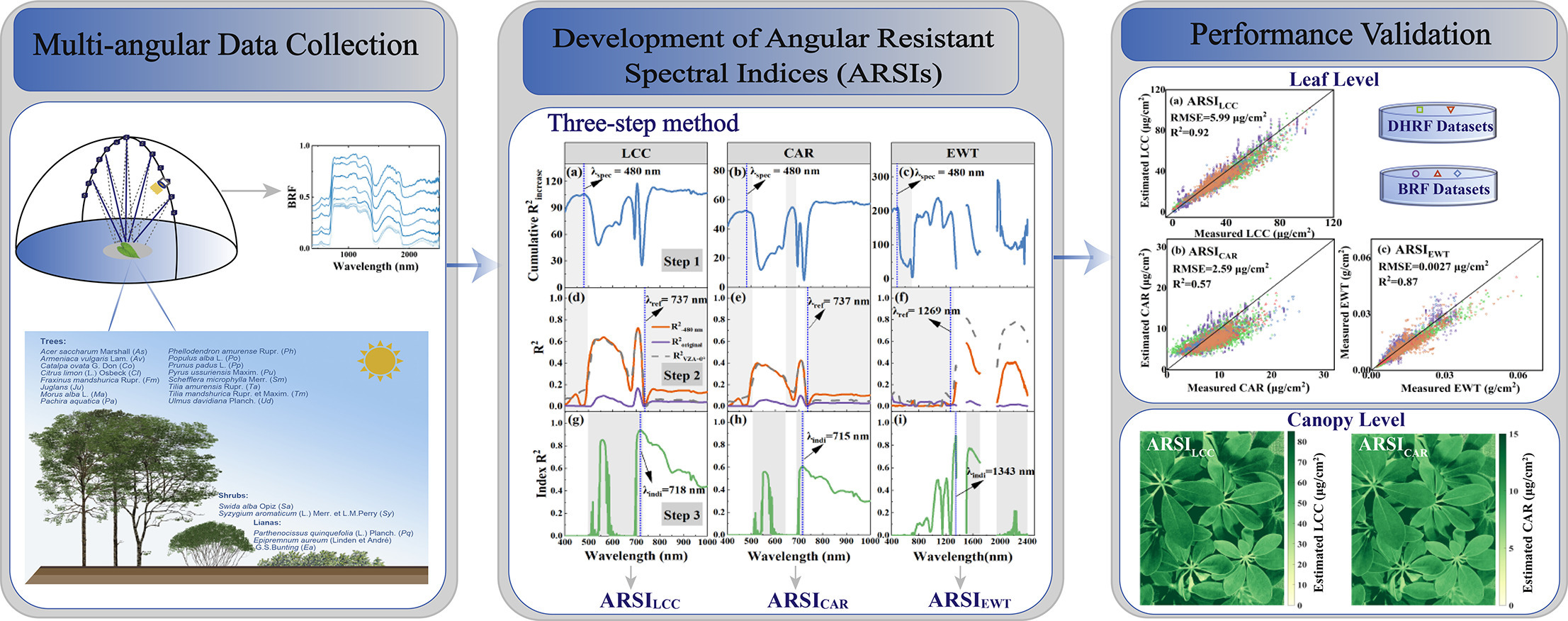 冉东杰等：《Agricultural and Forest Meteorology》基于多角度反射优化角度抗性光谱指数以准确估算叶片生化参数-地理科学学院